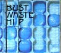 CD「BUST WASTE HIP」作品詳細 - GEO Online/ゲオオンライン