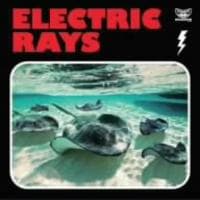 CD「ELECTRIC RAYS」作品詳細 - GEO Online/ゲオオンライン