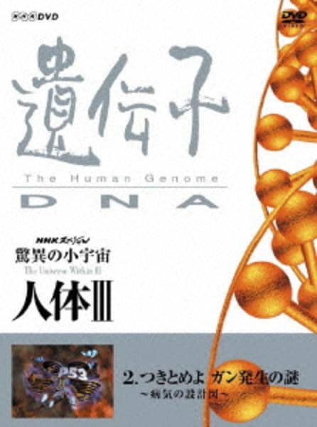 DVD「NHKスペシャル 驚異の小宇宙 人体Ⅲ 遺伝子・DNA 第2集 つきとめよガン発生の謎～病気の設計図～ ＜初回版＞」作品詳細 - GEO Online/ゲオオンライン