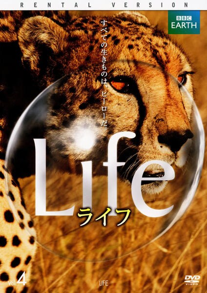 DVD「BBC EARTH：ライフ Vol．4」作品詳細 - GEO Online/ゲオオンライン