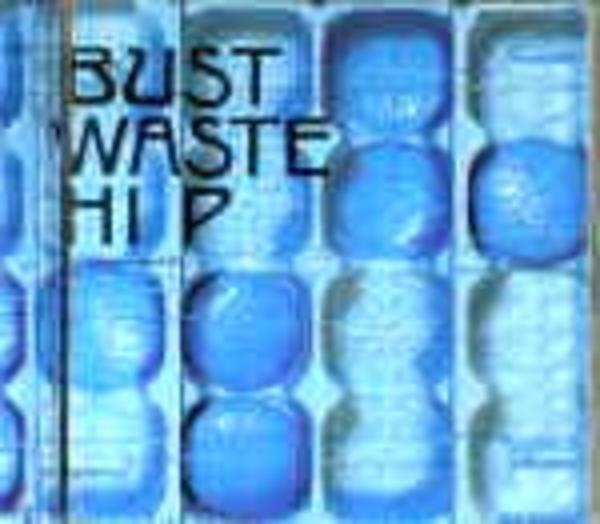 CD「BUST WASTE HIP」作品詳細 - GEO Online/ゲオオンライン