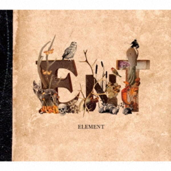 CD「ELEMENT（初回限定盤）」作品詳細 - GEO Online/ゲオオンライン